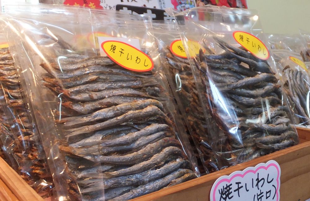 下北半島Tourism むつ市脇野沢地区 - ぐるりんしもきたWeb版 | しもきたツーリズム